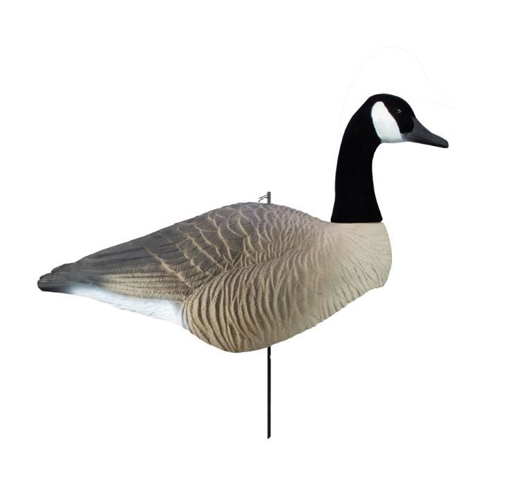 Alpha Wobbler, Magnum Canada Full Form Shell Variety Pack (6pk) – Hunter NZ